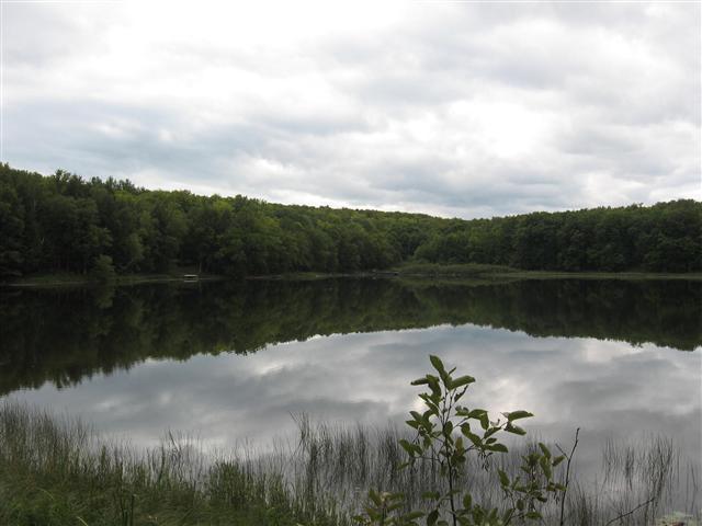 LT23 Crane Lake Ln Silver Cliff, WI 54104 | MLS# 1259683 | @properties